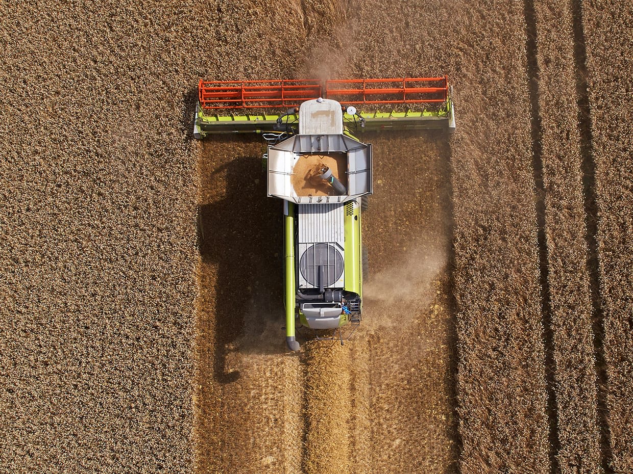 Harvesting tax opportunities in variable years | RSM Australia